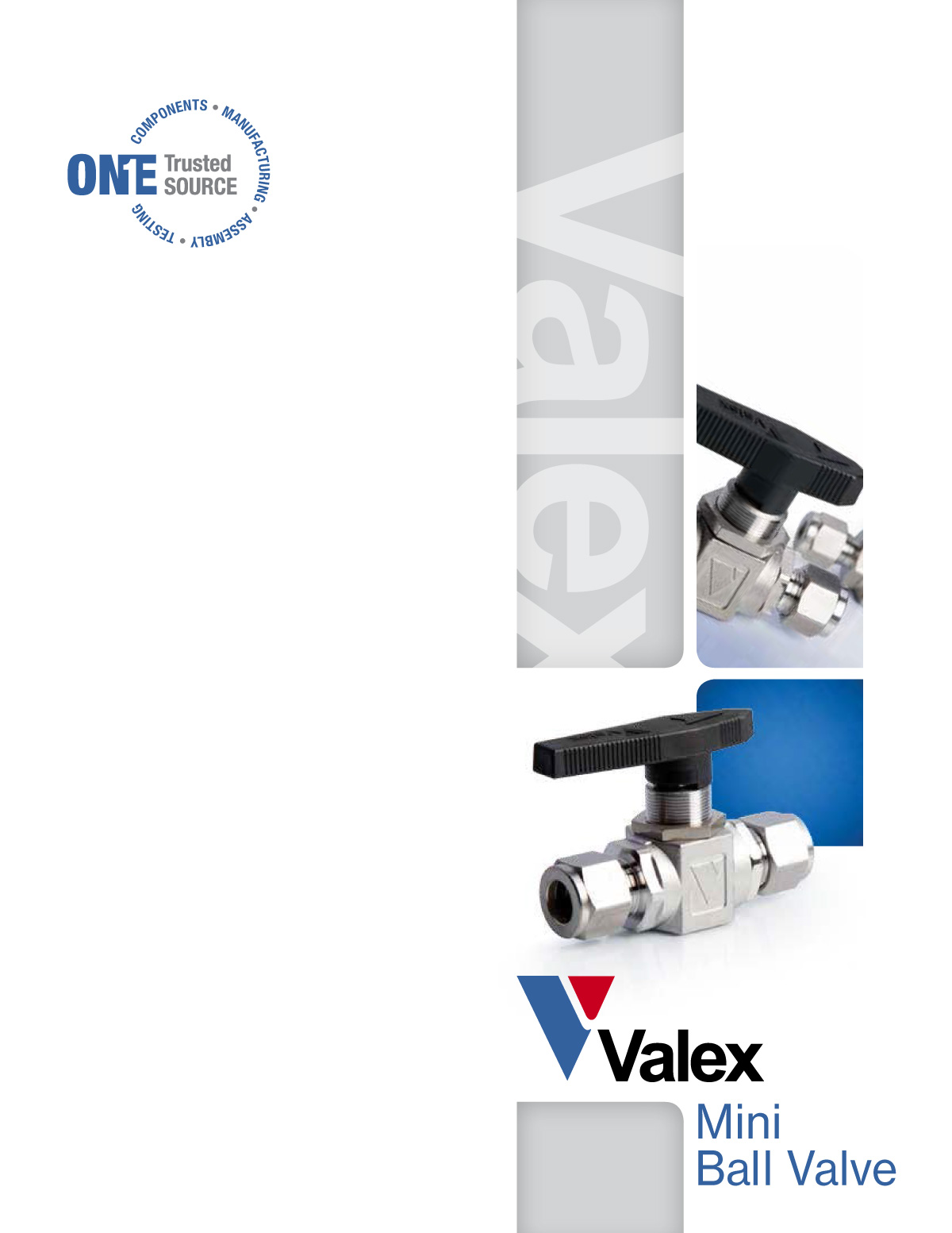 Complete Guide for Valex Products - Choose the right Valex Products for ...